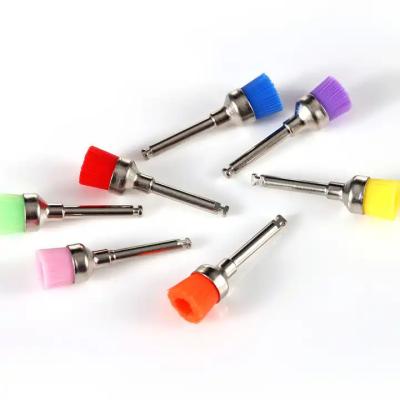 Cina SJ High quality dental polishing cup colorful latch dental laboratory dental cup style prophy brush oem wholesale in vendita