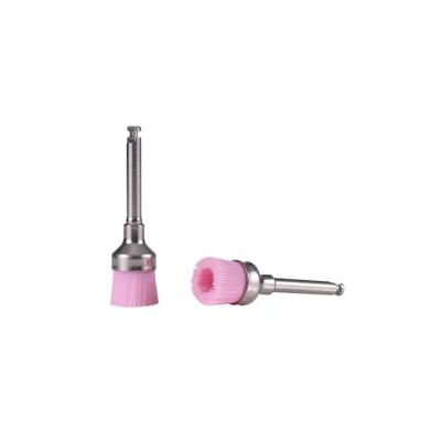 Cina SJ High quality dental polishing cup colorful latch dental laboratory dental cup style prophy brush oem wholesale in vendita