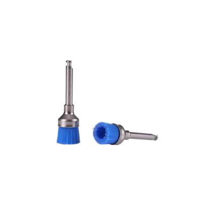 Cina SJ High quality dental polishing cup colorful latch dental laboratory dental cup style prophy brush oem wholesale in vendita