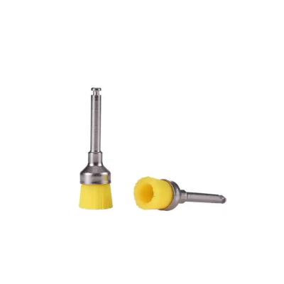 Cina SJ High quality dental polishing cup colorful latch dental laboratory dental cup style prophy brush oem wholesale in vendita