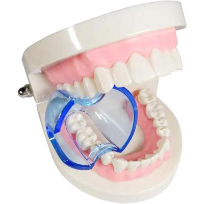 Cina SJ Dental Mouth Opener Bite Blocks Mouthguard Challenge Teeth Whitening Intraoral Lip Cheek Retractor in vendita
