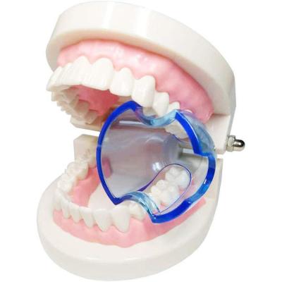 Cina SJ Dental Mouth Opener Bite Blocks Mouthguard Challenge Teeth Whitening Intraoral Lip Cheek Retractor in vendita