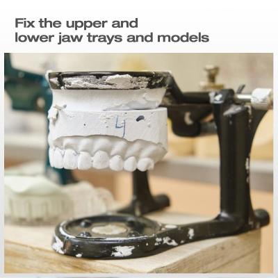 Cina SJ Dental Lab Equipment Small Adjustable Denture Magnetic Articulator High Quality Dental Articulators in vendita