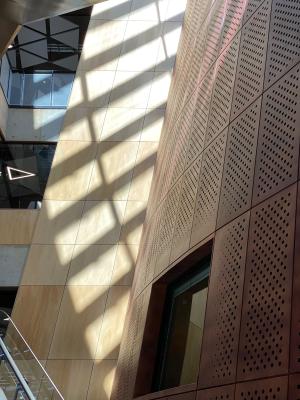 China Lightweight Exterior Aluminum Panels Wood Grain Perforated Veneer for sale