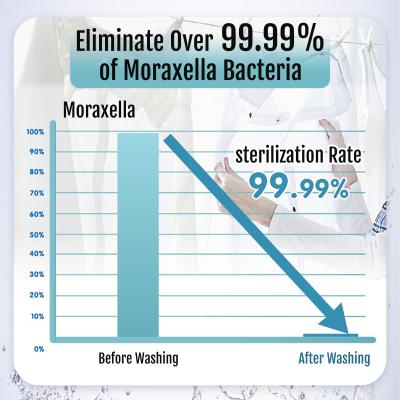 China Shining Brass Micro Nano Bubble Nozzle Bubbler Micro Nano Bubble Generator For Washing Machine for sale