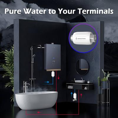 China High Flow Maintenance Free Service Life Extending Terminal Water Descaler for Home Use for sale