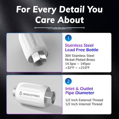 China NSF Certified Compact Water Descaler with 17-23.5L/Min Flow Rate and 0.1-1MPa Operating Pressure for Whole House Use for sale