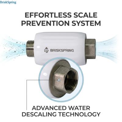 China 2025 NSF Certified Compact Terminal Water Descaler for Maintenance Free Home Use for sale