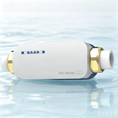 China High-Performance Whole House Water Descaler for Hard Water Scale Prevention and Appliance Longevity for sale