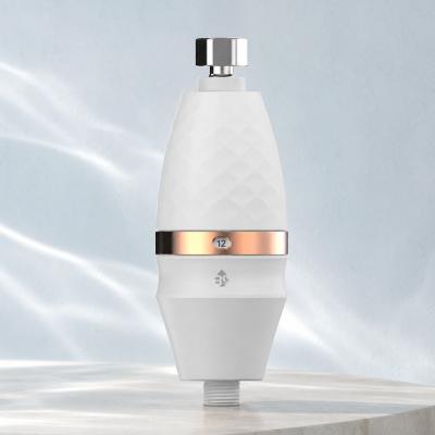 China BriskSpring M2-A 1/2 Inch Shower Water Purifier with 316L Stainless Steel Mesh and Silver Activated Carbon MSAP KDF for High Efficiency Filtration for sale