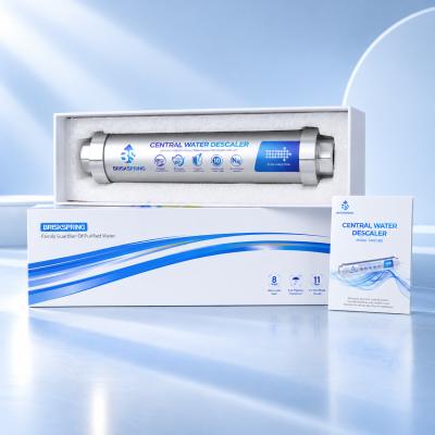 China J-600-BS Whole House Water Descaler 4 T/H Non Electric Pure Physical Ion Polarization Scale Inhibitor for sale