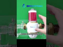 BriskSpring Gill Mesh Pre-Filter Een efficiënte sedimentbescherming voor uw huis