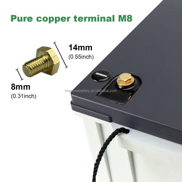 Quality Deep Cycle Lifepo4 Lithium RV Battery 25.6v 120ah For Campervan for sale