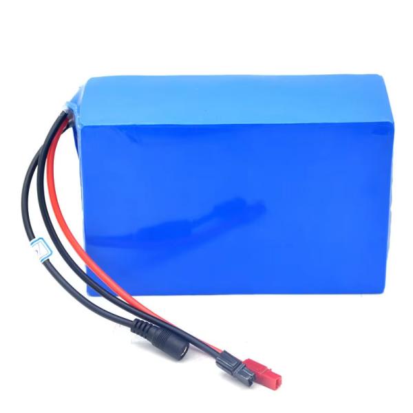 Rechargeable Custom Lithium Batteries Iron Phosphate Cells Pack 24V 36V 48V 60V