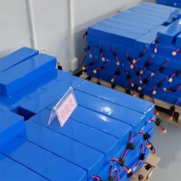 Rechargeable Custom Lithium Batteries Iron Phosphate Cells Pack 24V 36V 48V 60V