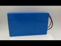 Rechargeable Custom Lithium Batteries Iron Phosphate Cells Pack 24V 36V 48V 60V