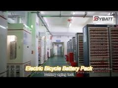 Dual Downtube 48v 25ah Ebike Battery pack 1000W 750W Conversion Kit