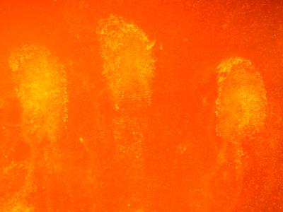 Cina Sorgente luminosa di banda di frequenze del desktop 13 di M005 BTTS-I con il filtro abbinato accurato in vendita