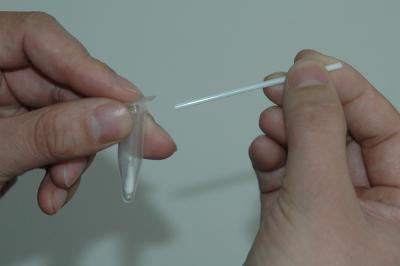 Cina Tamponi di sollevamento dell'applicatore del DNA del cotone sterile di L017 BTMQ-II con la testa fragile in vendita