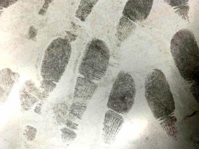 Cina Reagente della piccola particella del nero C053 in vendita