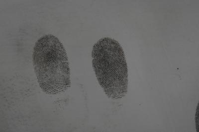 Cina Polvere dell'impronta digitale del nero C079 in vendita