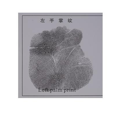 Cina Cuscinetto della stampa della palma dell'alto polimero di E007 BTNY-III in vendita