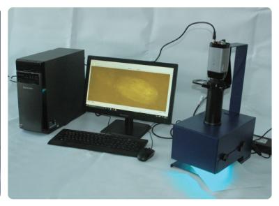 Cina Strumento termotropicoⅡ di fluorescenza di C203 BTZZ- per sviluppare impronta digitale sudata su carta in vendita