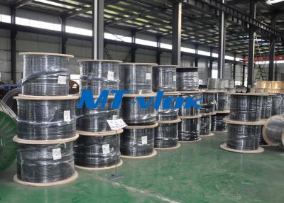 China Der mehradrige Edelstahl umwickelte Schläuche ASTM A213 helles S30400/S30403 getempert zu verkaufen