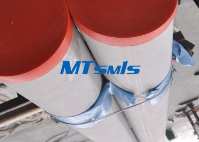 Cina Il tubo senza cuciture duplex eccellente a 8 pollici dell'acciaio inossidabile del tubo di Sch40s con PE/È estremità in vendita