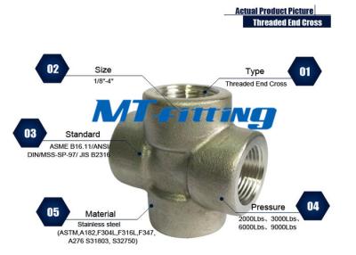 China ASTM alta presión del acero inoxidable F304L/304H de A182 roscada/zócalo soldó con autógena la colocación cruzada del extremo en venta