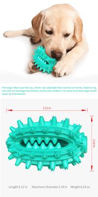 Cina Denti di cane del cactus TPR del gioco di puzzle che puliscono i giocattoli svegli dell'animale domestico in vendita