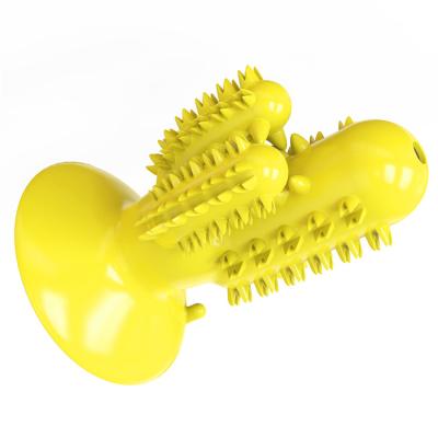 Cina Dente di forma del cactus che pulisce il morso di cane sveglio Toy With Customized Service dei giocattoli dell'animale domestico in vendita