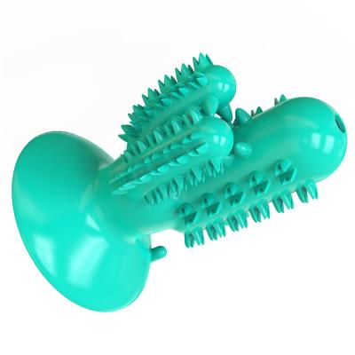 Cina Dente di forma del cactus che pulisce il morso di cane sveglio Toy With Customized Service dei giocattoli dell'animale domestico in vendita