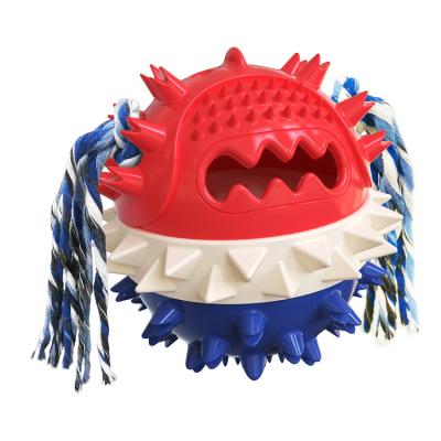 Cina Morso molare personale Toy For Cleaning Pet Teeth del cane flessibile in vendita