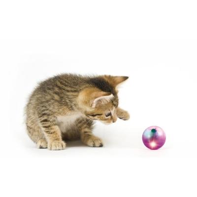 Cina Suono vuoto della sfera di controllo di EVA Cute Pet Toys Interactive dell'ABS lampeggiante in vendita