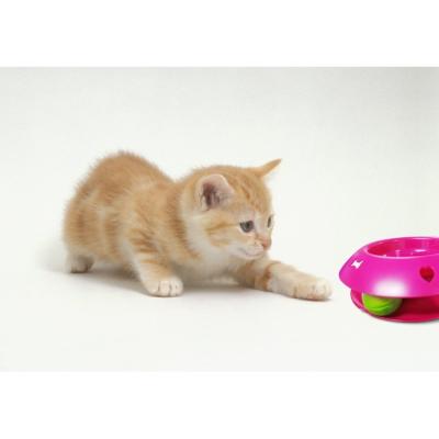 Cina Hot Selling Pet Food Container Slow Feeding Bowl Iq Treat Dog Toy Fun Feeder Interactive Dog cat Bowl in vendita