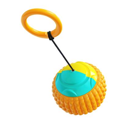 Cina Suction Cup Push Elastic Ropes Pet Tooth Cleaning Chewing Playing Puppy Cats Indestructible Dog Toy in vendita