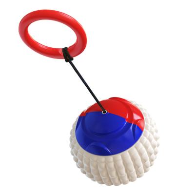 Cina Suction Cup Push Elastic Ropes Pet Tooth Cleaning Chewing Playing Puppy Cats Indestructible Dog Toy in vendita