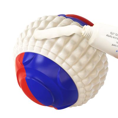 Cina Suction Cup Push Elastic Ropes Pet Tooth Cleaning Chewing Playing Puppy Cats Indestructible Dog Toy in vendita