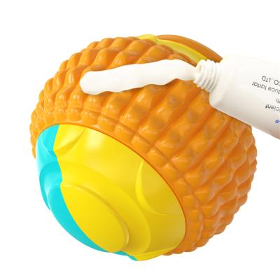 Cina Suction Cup Push Elastic Ropes Pet Tooth Cleaning Chewing Playing Puppy Cats Indestructible Dog Toy in vendita