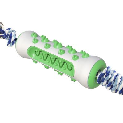 Cina Pet Toy Molar Stick Bite Resistant With Rope Bones Dog Toothbrush Dog Toy in vendita