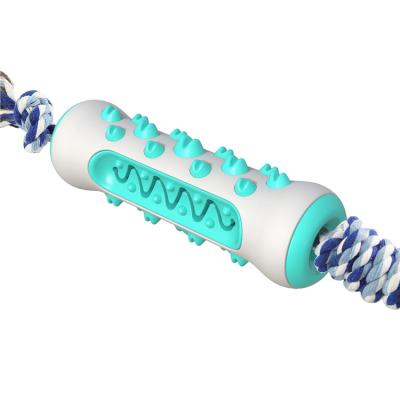 Cina Pet Toy Molar Stick Bite Resistant With Rope Bones Dog Toothbrush Dog Toy in vendita