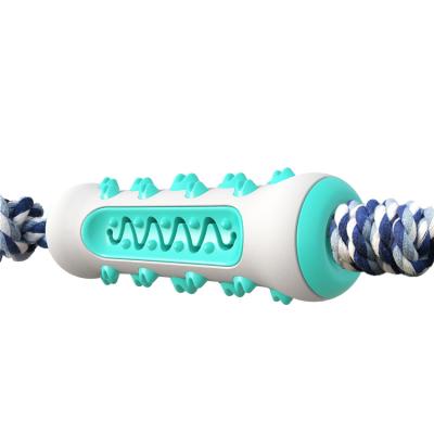 Cina Pet Toy Molar Stick Bite Resistant With Rope Bones Dog Toothbrush Dog Toy in vendita