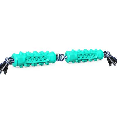 Cina New Design Bone Shape Dog Double Serrated Grinding Rod Teeth Clean Chew And Dog Chew Treat in vendita