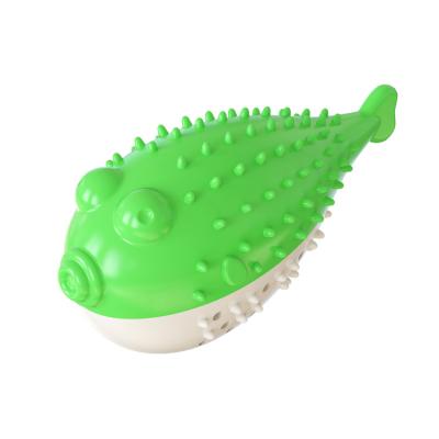 Cina New Cute Pet Cat Toothbrush Toy Catnip Flavor Silicone Simulation Fish Molar Stick Tooth Cleaning Toy Toothbrush in vendita