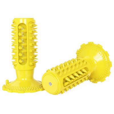 Cina Professional Manufacturer Supply Classical Tpr Dog Squeaky Sounding Toothbrush Dog Interactive Toy in vendita