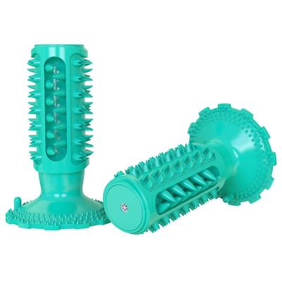 Cina Professional Manufacturer Supply Classical Tpr Dog Squeaky Sounding Toothbrush Dog Interactive Toy in vendita