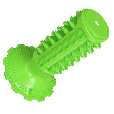 Cina Professional Manufacturer Supply Classical Tpr Dog Squeaky Sounding Toothbrush Dog Interactive Toy in vendita