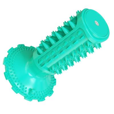 Cina Professional Manufacturer Supply Classical Tpr Dog Squeaky Sounding Toothbrush Dog Interactive Toy in vendita