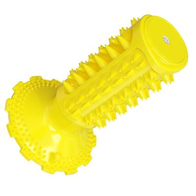 Cina Professional Manufacturer Supply Classical Tpr Dog Squeaky Sounding Toothbrush Dog Interactive Toy in vendita